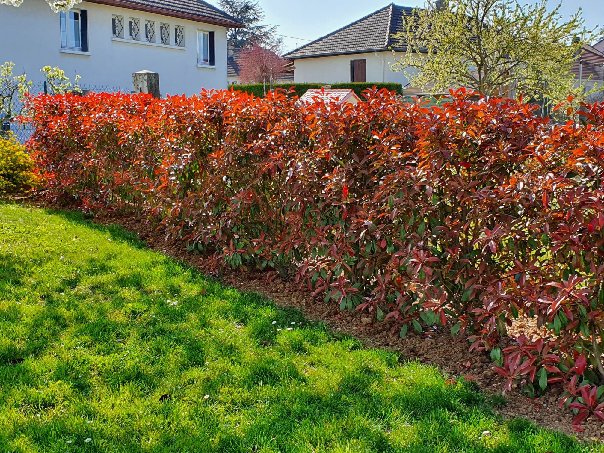 Plantation – Natura création